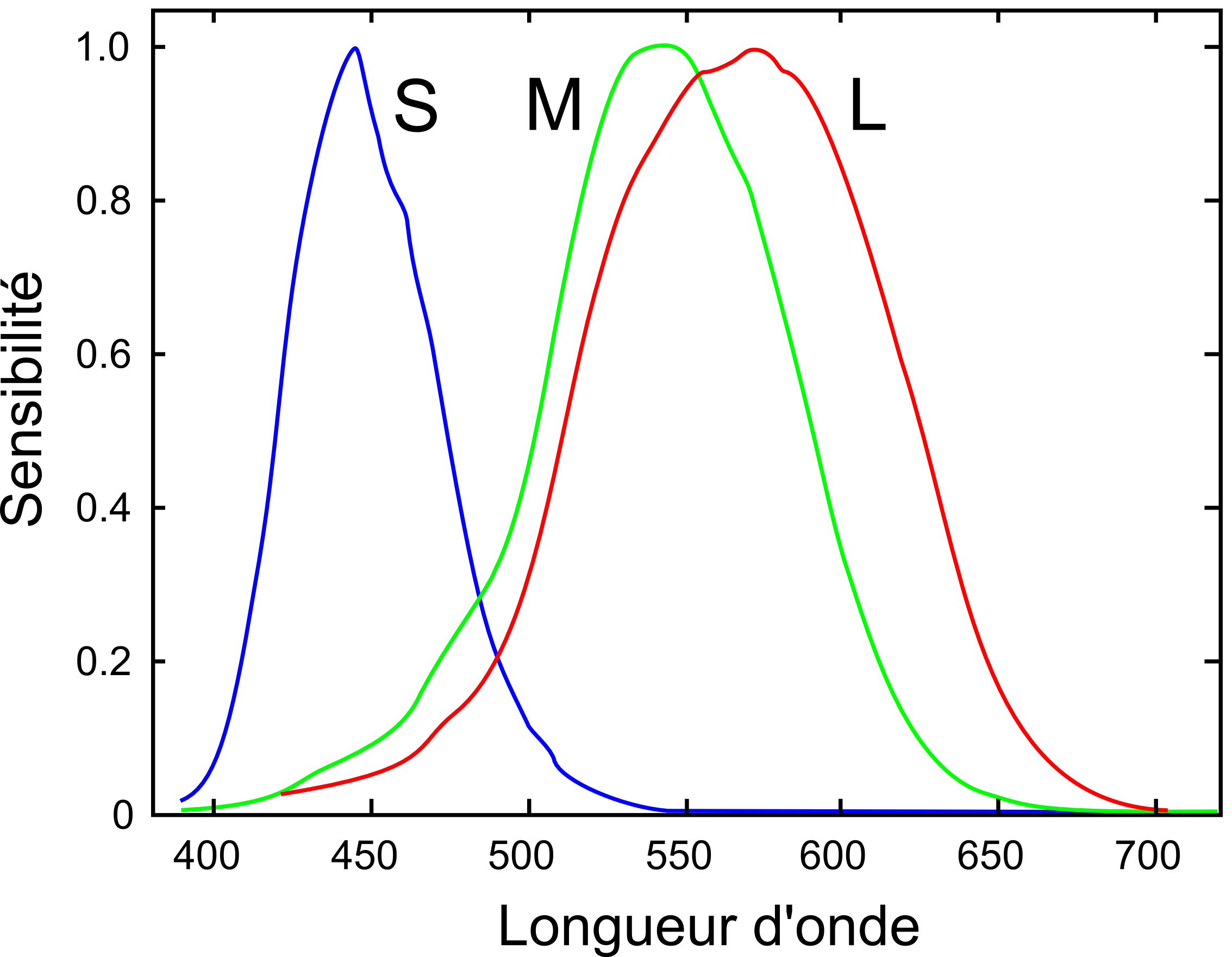 La perception des couleurs - Comment ça marche